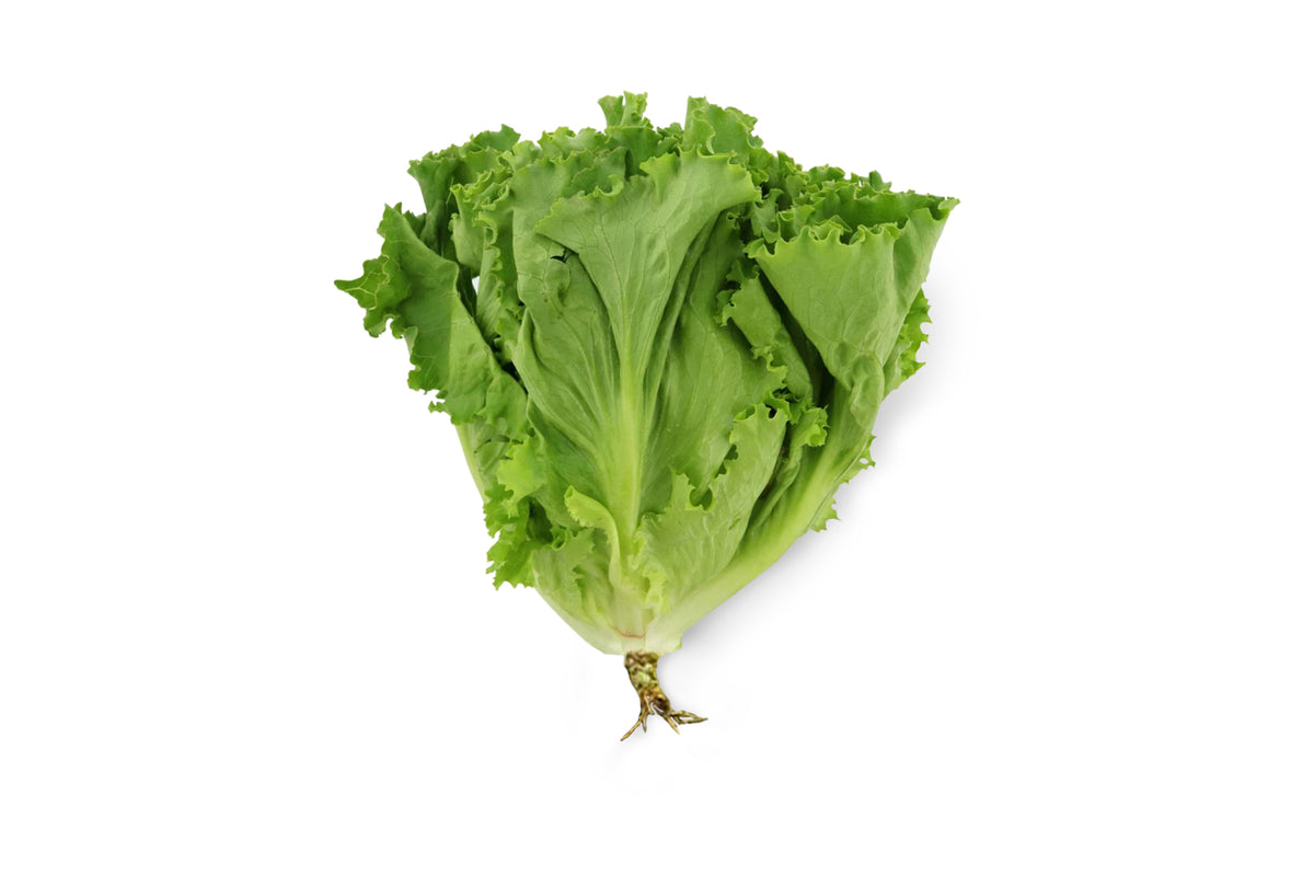 Shen Cai, Sheng Chai Green Chinese Lettuce - 唐生菜 – freshveggies.sg