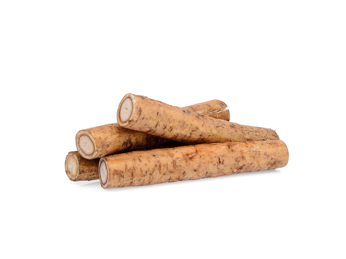 Great Burdock (China) 牛蒡 – freshveggies.sg